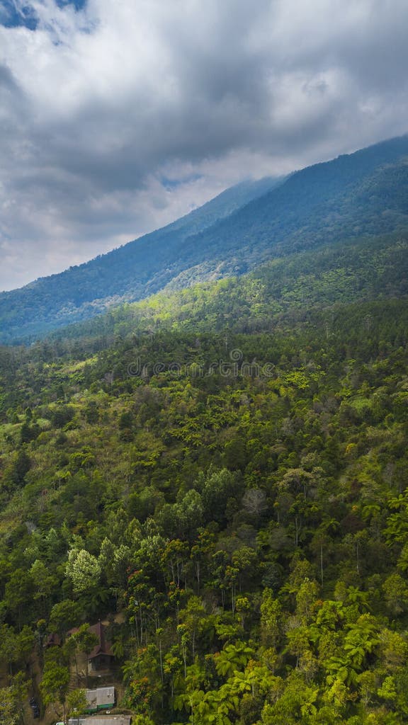 Forest and the Ciremai Mount, West Java Stock Photo - Image of jungle ...