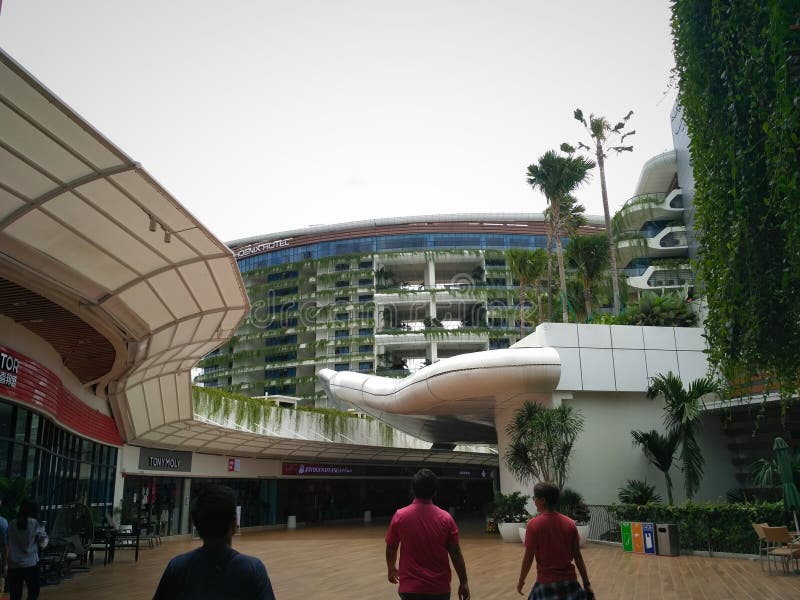 Forest city editorial stock photo. Image of forest, mall - 96326673