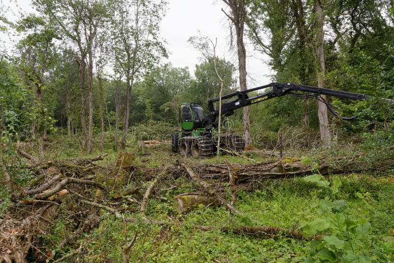 Forest Clearance or Being Logged Down Due To Development in Tropical ...