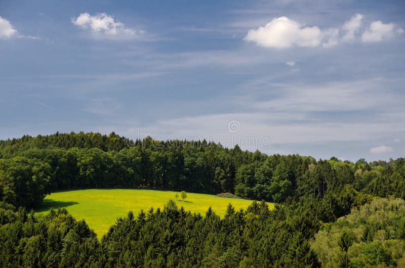 Forest clearing stock image. Image of countryside, grass - 27755745