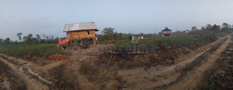 Forest Clearing for Community Plantation Land in the Village Stock ...