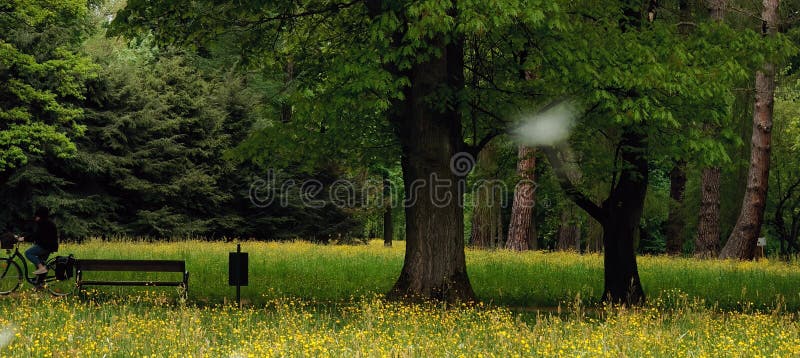 684 Large Small Projects Stock Photos - Free & Royalty-Free Stock ...