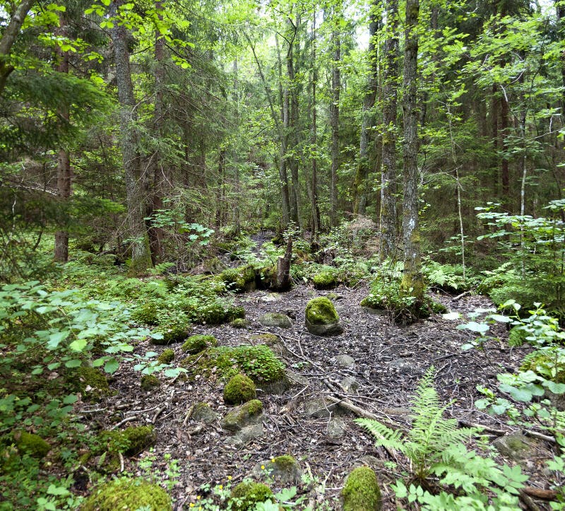 823 Clearing Rocks Photos - Free & Royalty-Free Stock Photos from ...