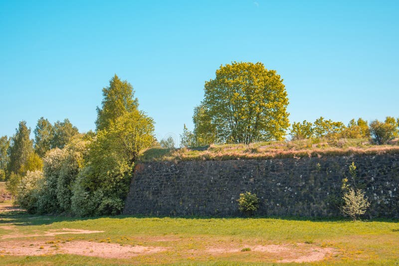 Forest and Cliff, Decorated with Smooth Stones of Rock with ...