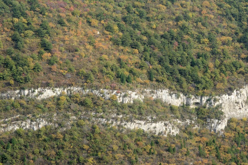Forest and cliff stock image. Image of trees, rock, scenic - 45851761