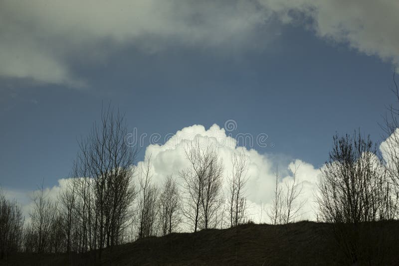 Forest and Clouds. Landscape with Silhouettes of Trees Stock Image ...