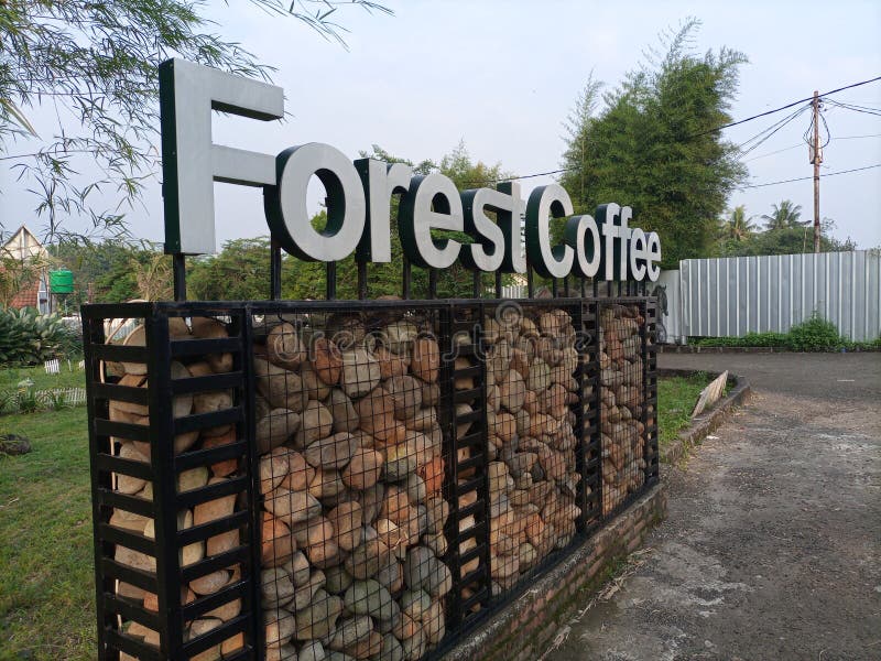 Forest coffee at the night stock photo. Image of night - 252844008