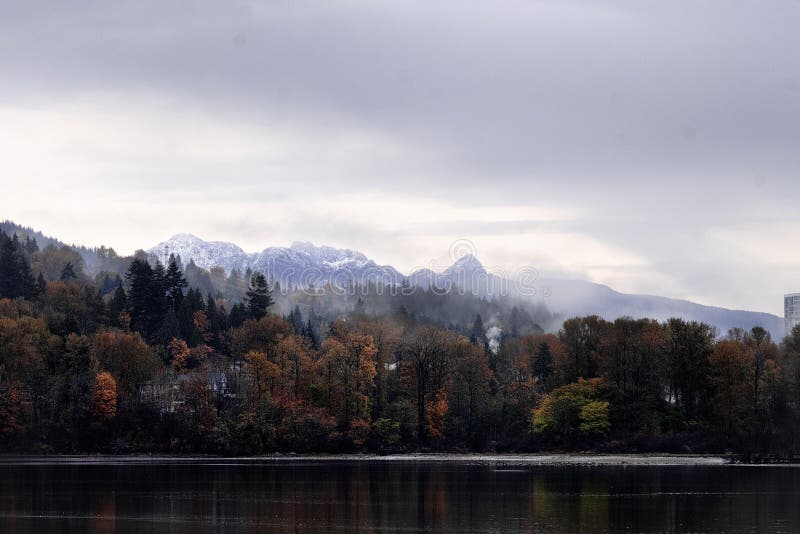 Forest of Colorful Autumn Trees Reflecting in Calm Water Stock Image ...