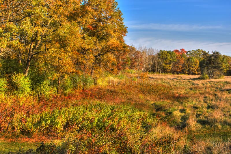 Forest Colors in the Fall in Hdr Stock Image - Image of scenic, foliage ...