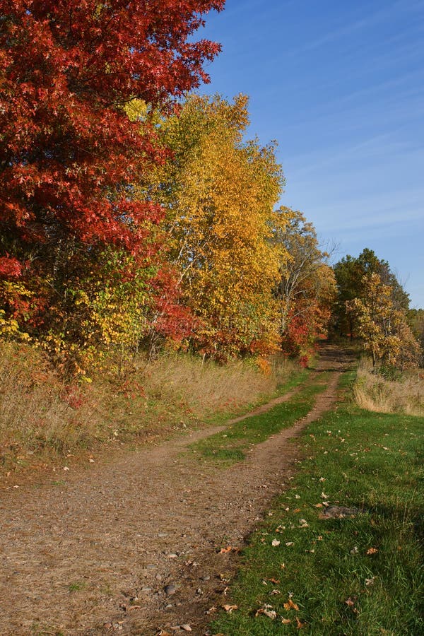Forest Colors in the Fall in Hdr Stock Image - Image of colorful ...