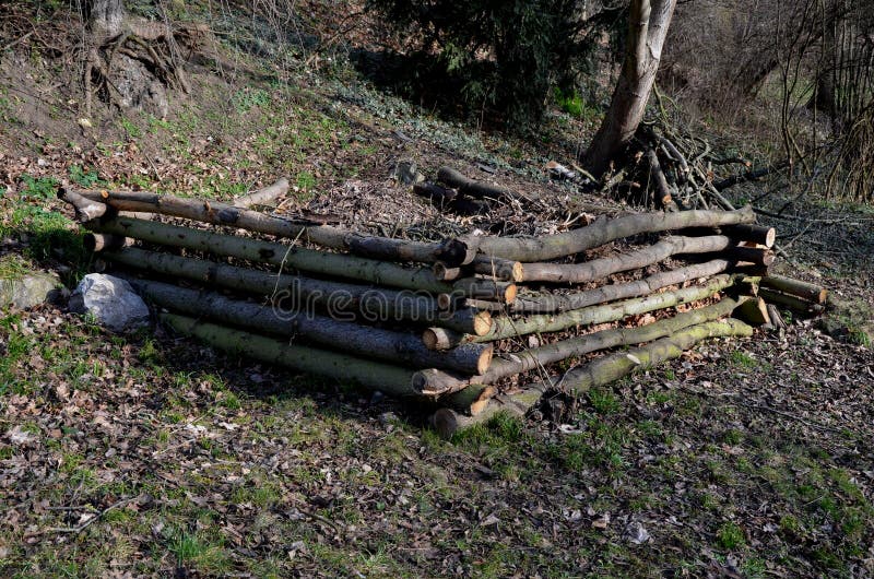 Forest Compost on Leaves in the Park. a Pen Made of Sticks, Leaves from ...