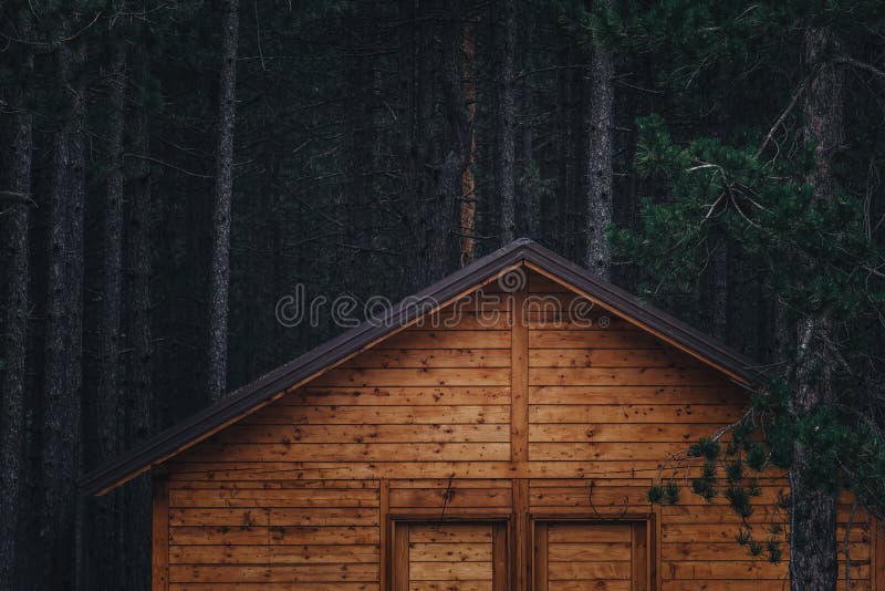 Forest Cottage Home in Pine Woodland at Night Stock Photo - Image of ...