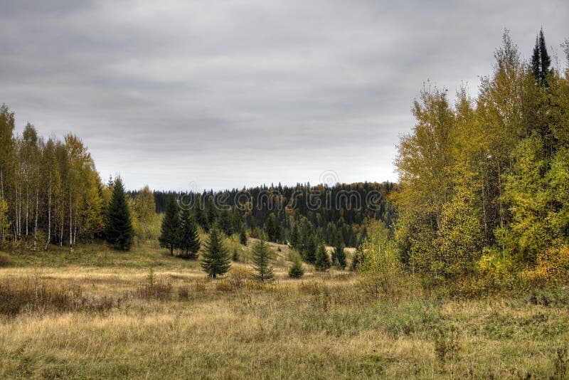 Forest and countryside stock photo. Image of trees, wooded - 12890404