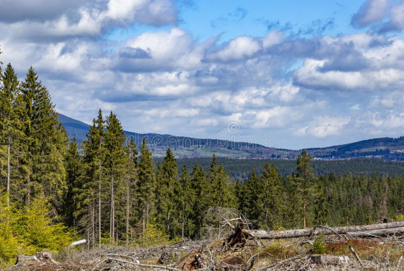 Forest-covered Mountains. Sumava National Park, Czech Republic Stock ...