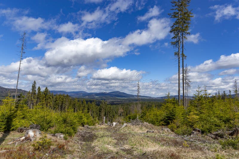 Forest-covered Mountains. Sumava National Park, Czech Republic Stock ...