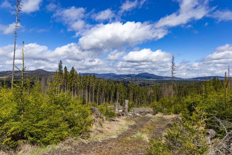 Forest-covered Mountains. Sumava National Park, Czech Republic Stock ...