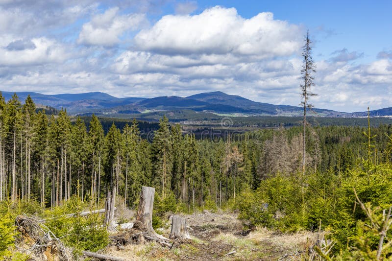 Forest-covered Mountains. Sumava National Park, Czech Republic Stock ...