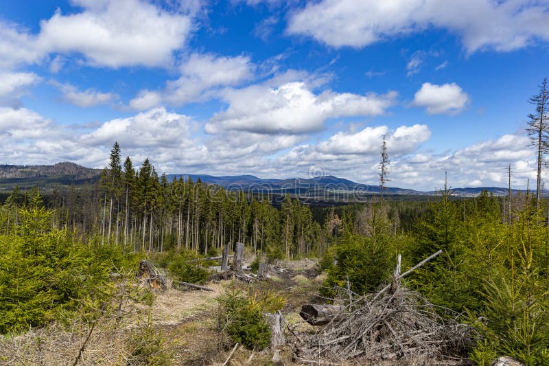 Forest-covered Mountains. Sumava National Park, Czech Republic Stock ...