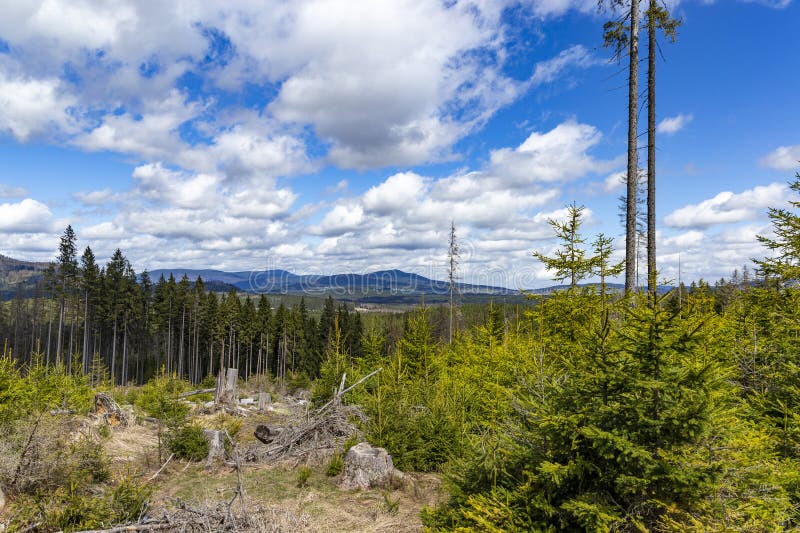 Forest-covered Mountains. Sumava National Park, Czech Republic Stock ...