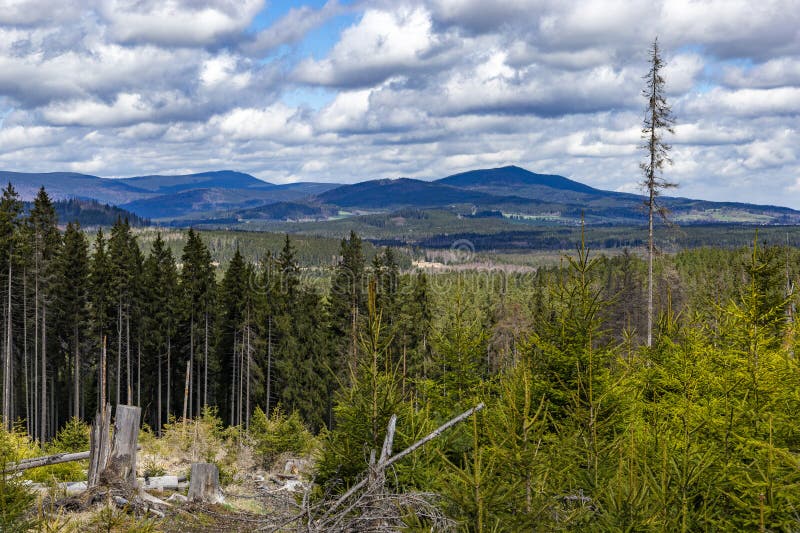 Forest-covered Mountains. Sumava National Park, Czech Republic Stock ...