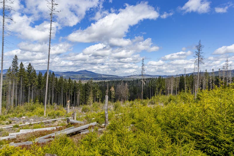 Forest-covered Mountains. Sumava National Park, Czech Republic Stock ...