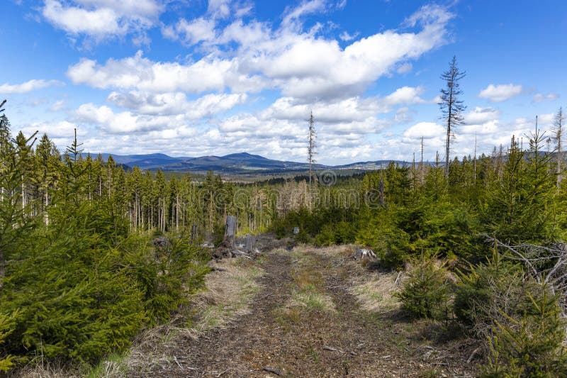 Forest-covered Mountains. Sumava National Park, Czech Republic Stock ...