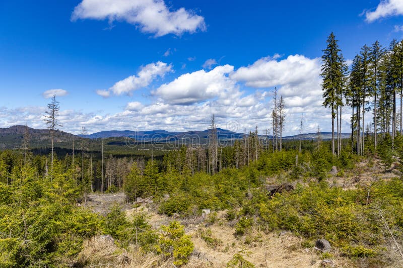 Forest-covered Mountains. Sumava National Park, Czech Republic Stock ...