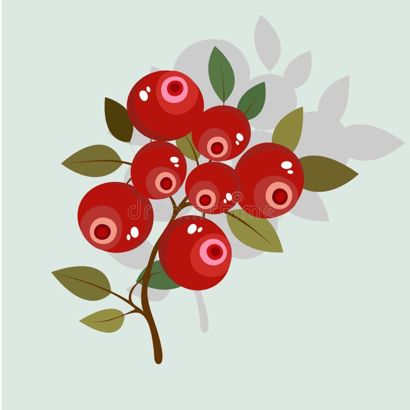 Forest Cranberry Berries and Leaves, Vector Illustration Stock Vector ...