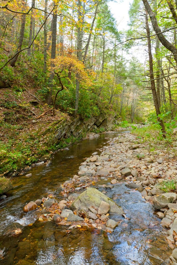 Forest creek in autumn. stock image. Image of scenic - 34556679