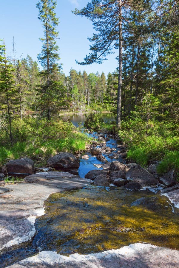 Forest creek stock image. Image of people, scenery, river - 39884087