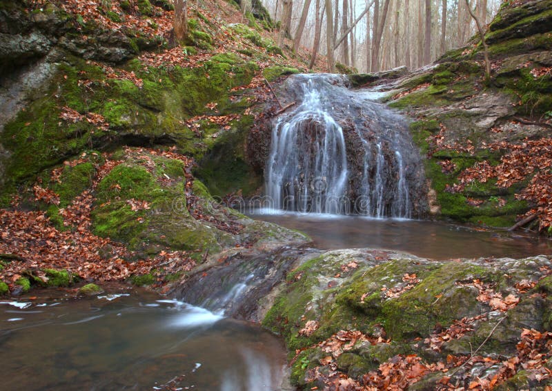Forest creek stock photo. Image of south, water, stream - 49342706