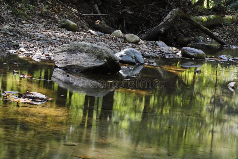 Forest creek stream stock photo. Image of ohio, slowly - 159527994