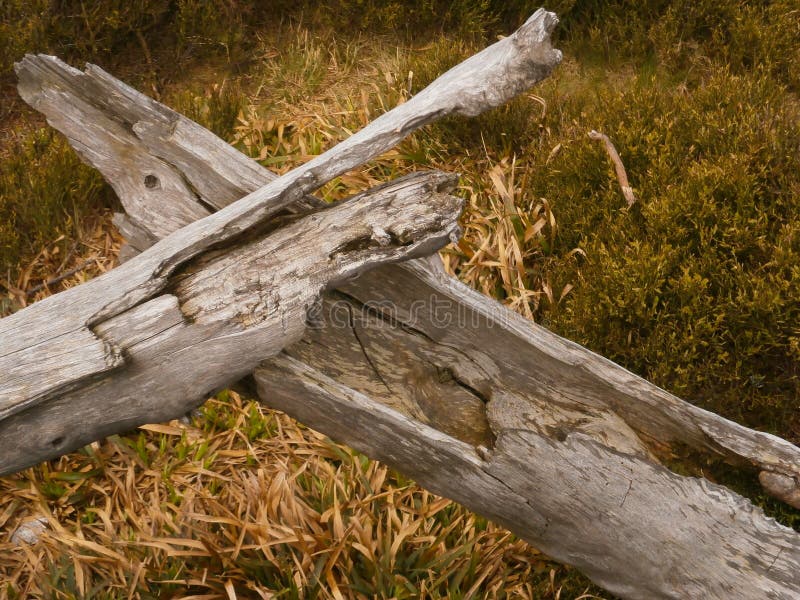 Forest Cross stock photo. Image of cross, greenwood, laforest - 56285216