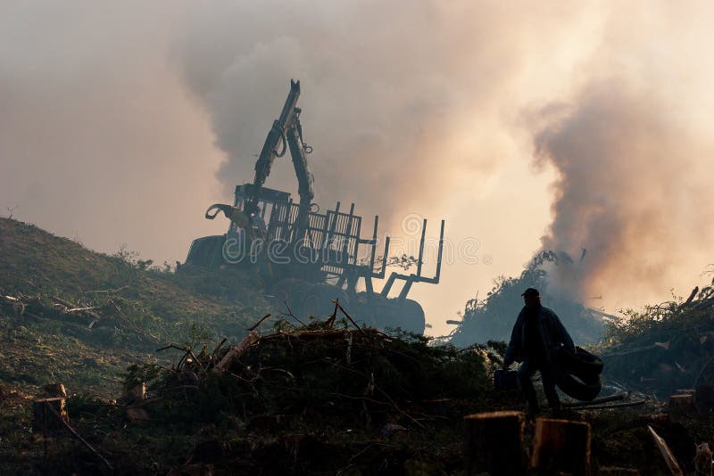 Forest Cutting, Burning of Forest Waste. Smoke and Fire, Tractor.n ...