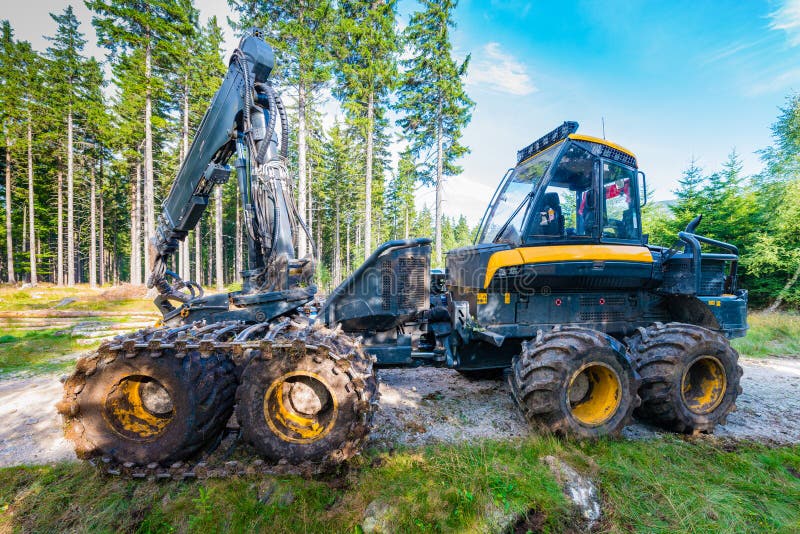 Timber after a Harvester in a Swedish Forest with Snow Stock Photo ...