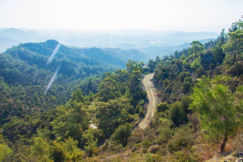 Forest in Cyprus mountains stock photo. Image of mountain - 140216546