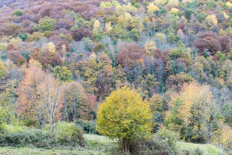 Autumn in Catalonia Spain stock image. Image of travel - 100225969
