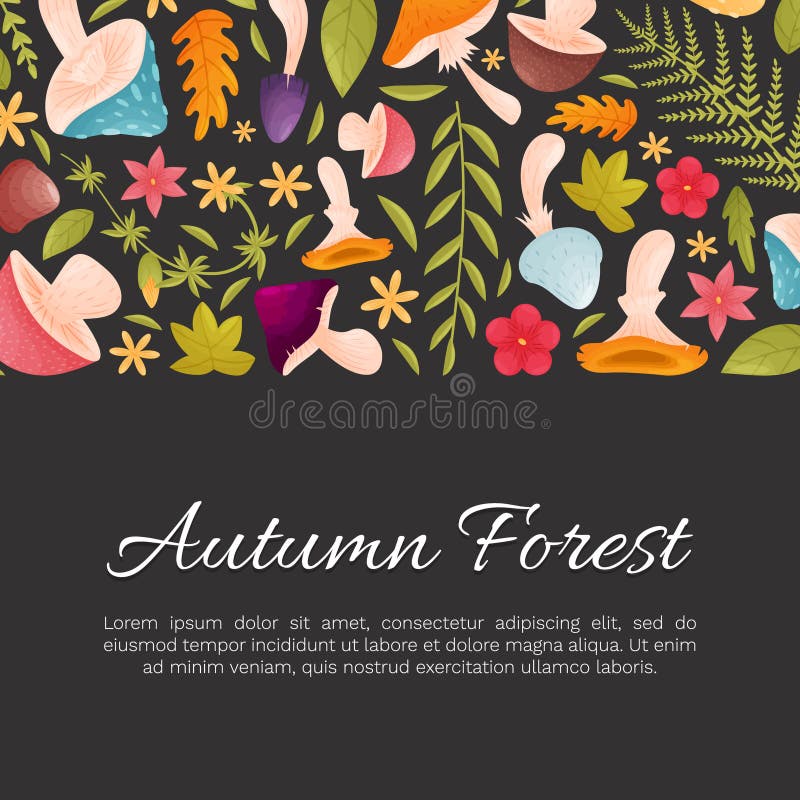 Forest Decor Banner Design with Mushroom and Leaf Vector Template Stock ...