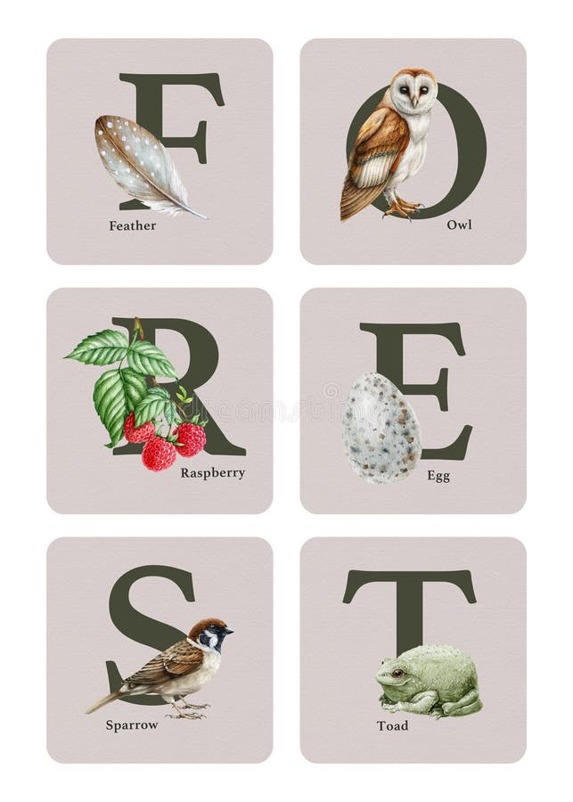 547 Forest Font Letters Stock Photos - Free & Royalty-Free Stock Photos ...