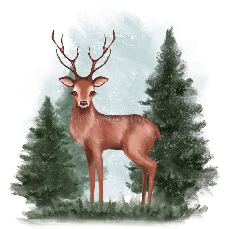Forest Deer. Beautiful IIlustration with Fir Trees. Stock Illustration ...