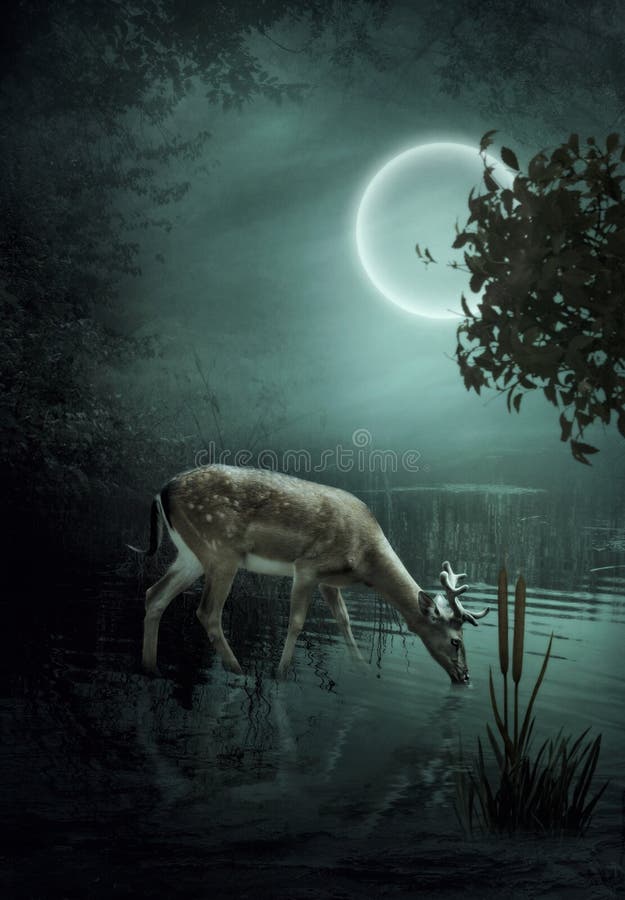 Moonlight Deer at Night stock illustration. Illustration of bird ...