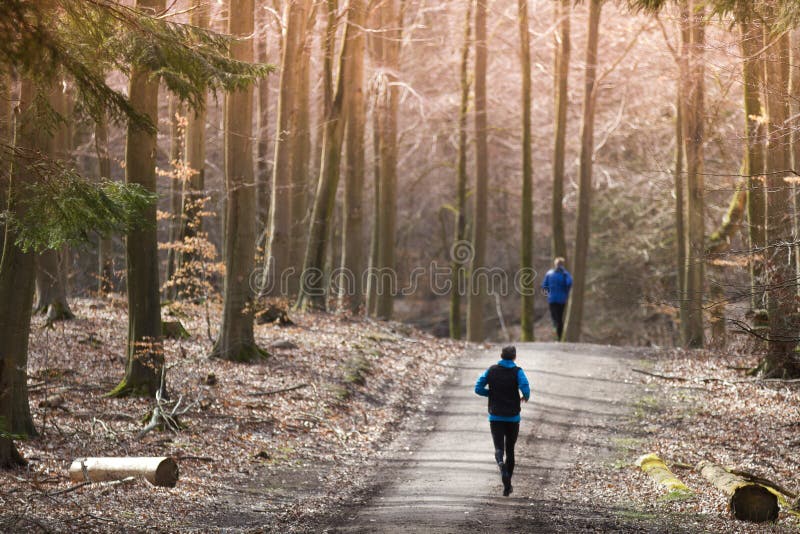 Forest in Denmark North Form Copenhagen Editorial Photography - Image ...