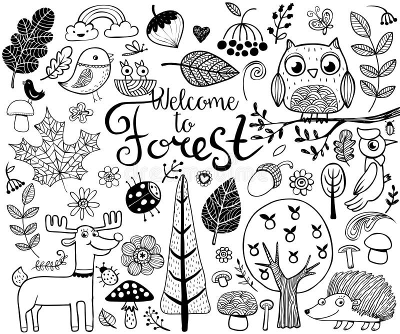 Forest Design Elements in Doodle Style Stock Vector - Illustration of ...