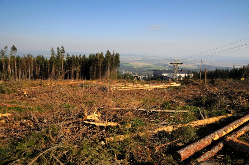 Forest destruction stock photo. Image of destruction, blue - 8710864