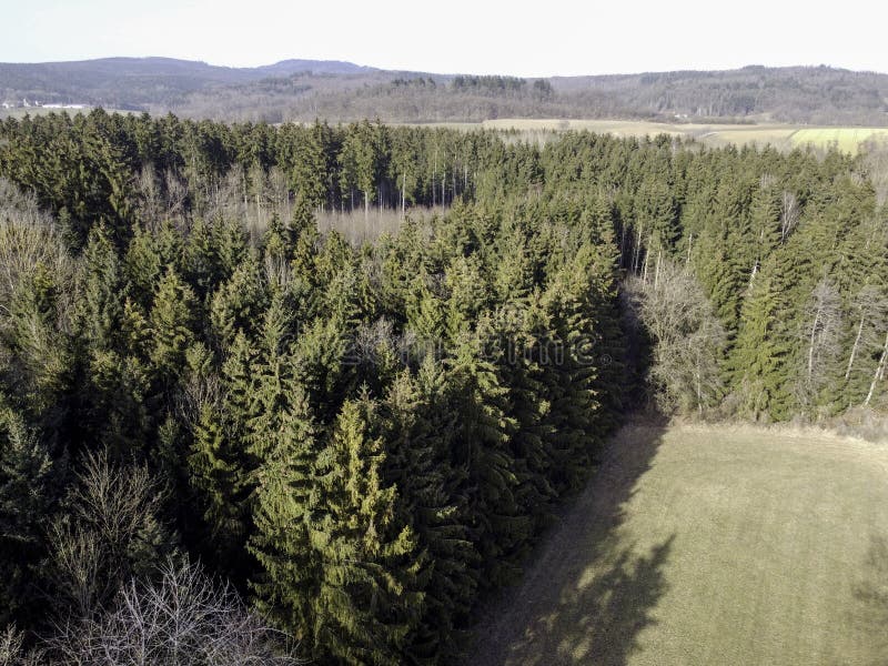 Forest Dieback Caused by the Climate Crisis Stock Photo - Image of ...