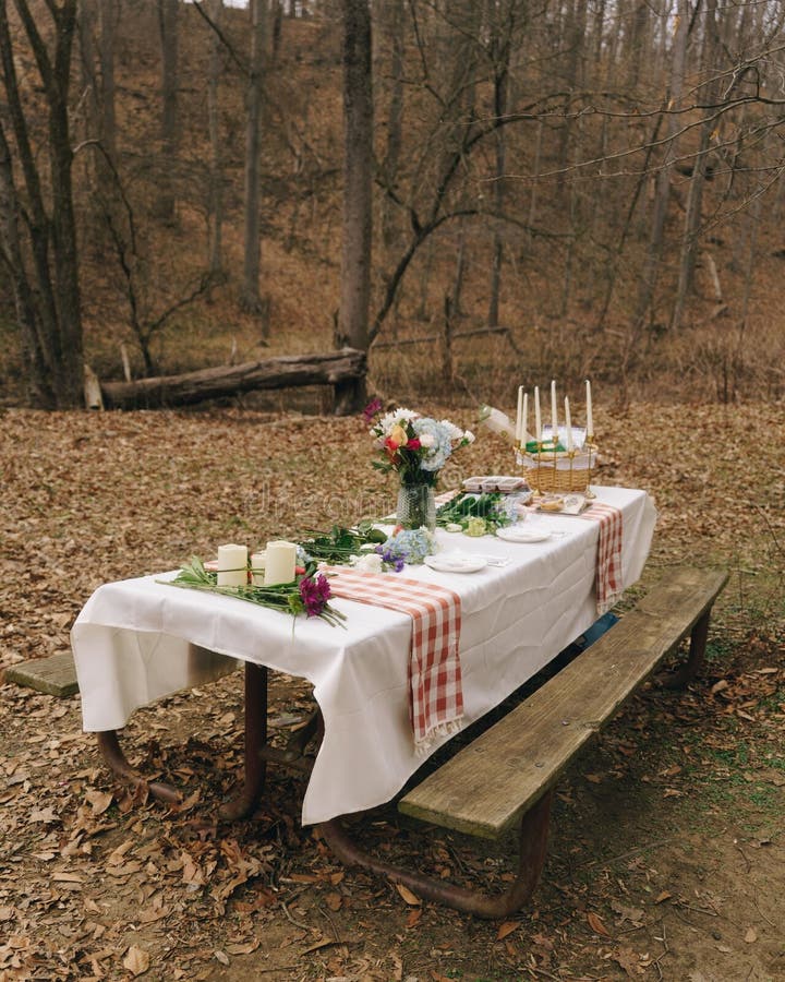 Forest Dinner Table Setup with Rustic Florals and Layered Linens Stock ...