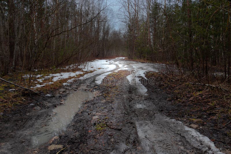 Forest Dirt Road Broken by Wheels, Puddles on a Rut Stock Image - Image ...