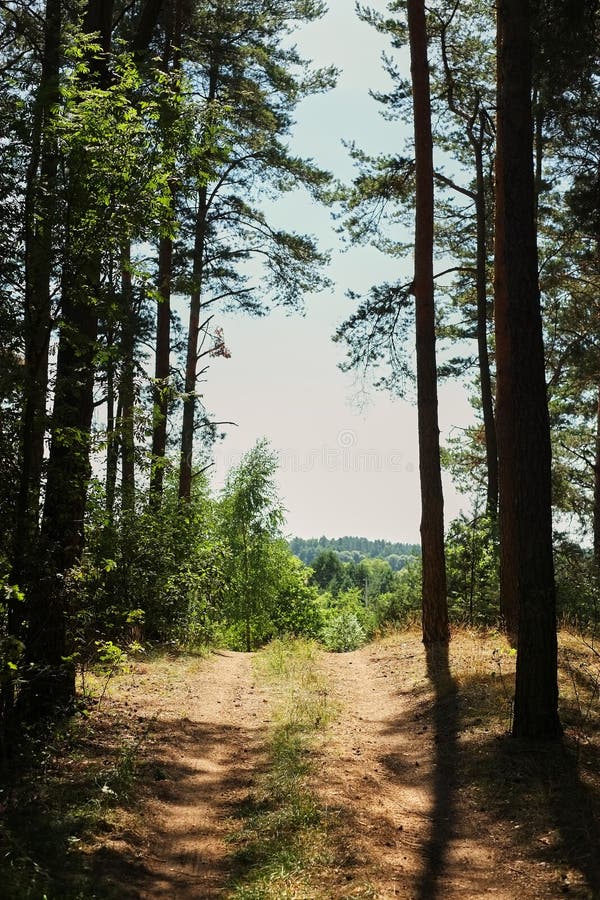 Forest Dirt Road. Landscape. Sky at the End of the Road Stock Photo ...