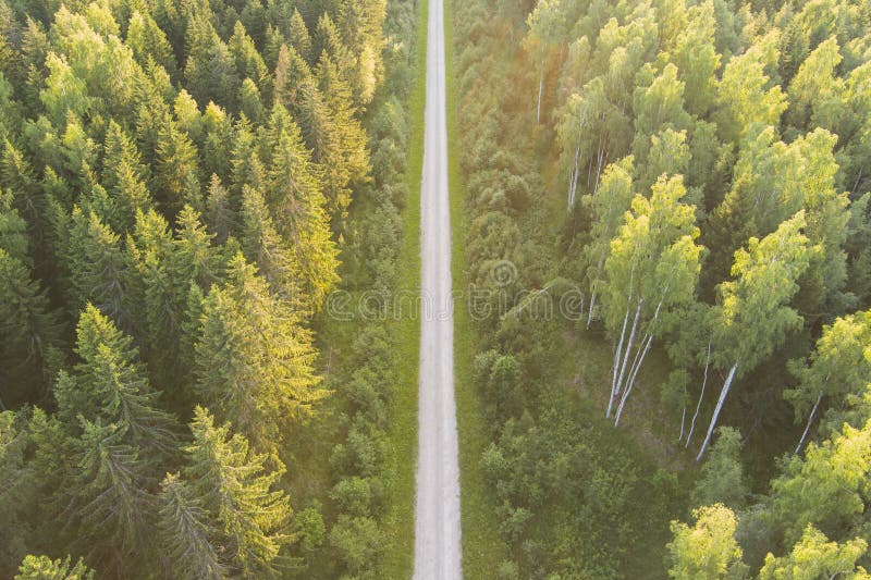 Forest Dirt Road, Photo View from a Drone on a Summer Evening Stock ...