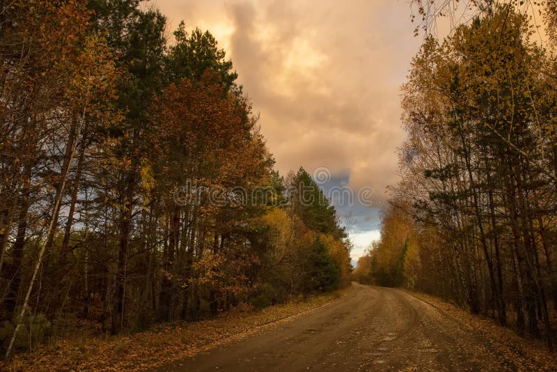Forest Dirt Road at Sunset in Autumn. Stock Image - Image of pines ...
